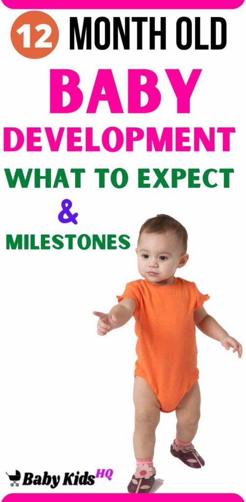 12 Month Old Baby Development & Milestones - BabyKidsHQ